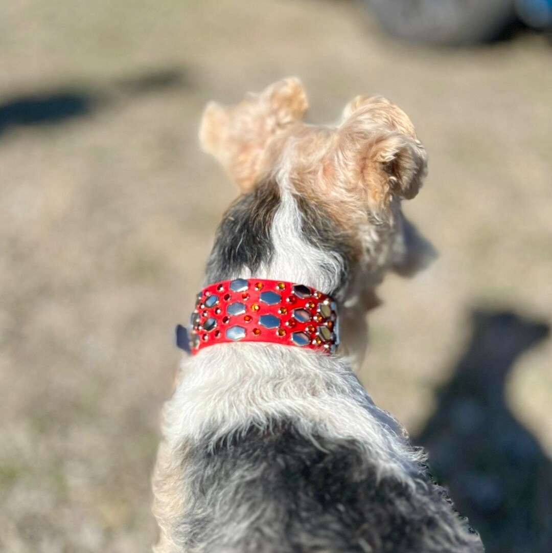 The Hexa Bling Biothane® Collar Beta Biothane® Collar Gemstone Collar ...