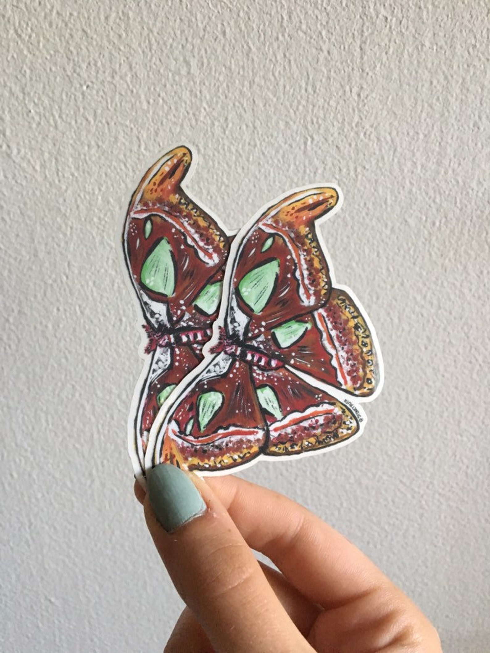 Atlas Moth Transparent Sticker - Etsy