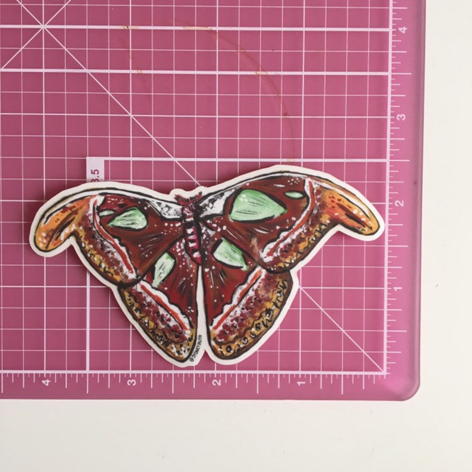 Atlas Moth Transparent Sticker - Etsy