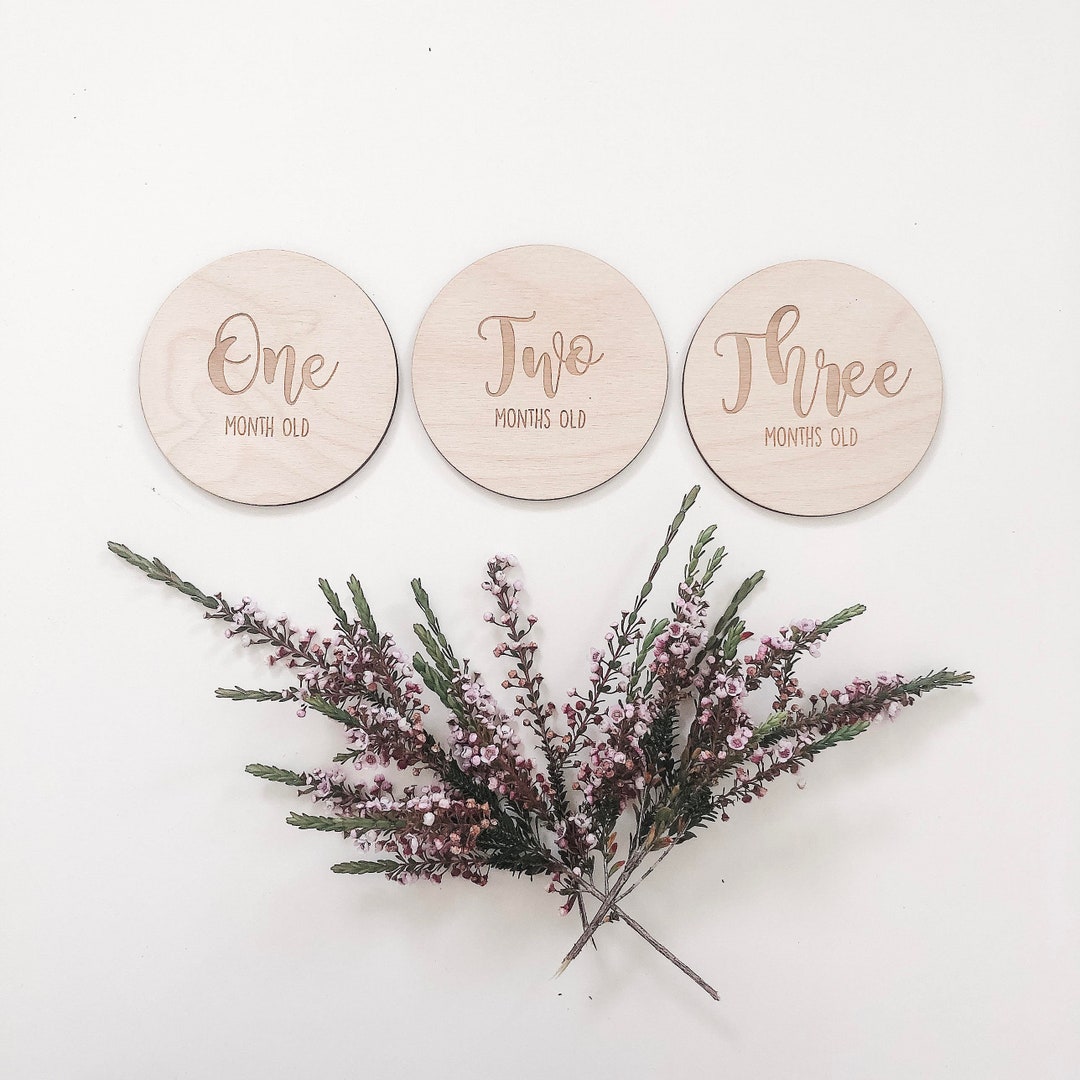 Wooden Baby Monthly Milestone Discs, Milestone Discs, Baby Photo Props ...