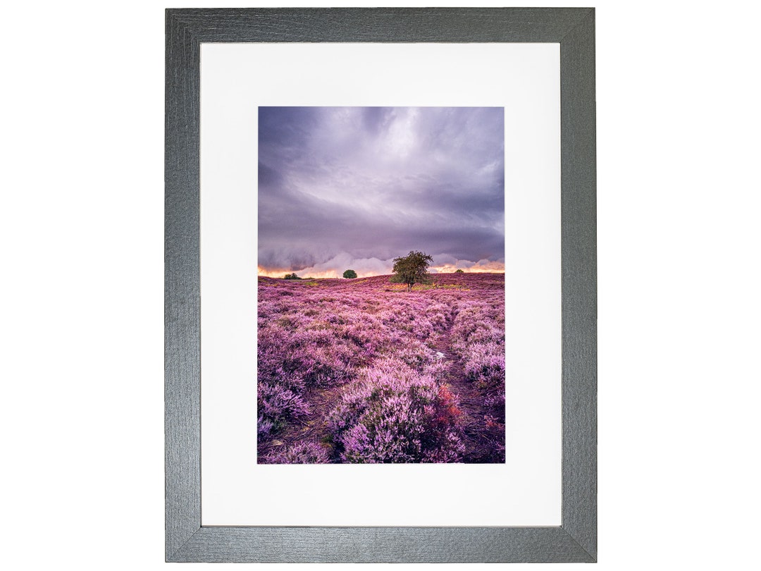 Roydon Common Norfolk Stormy Heather Landscape Framed Photo - Etsy