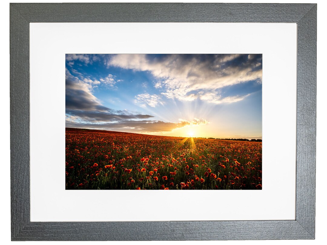 Norfolk Poppy Field Sunset Framed Photo - Etsy