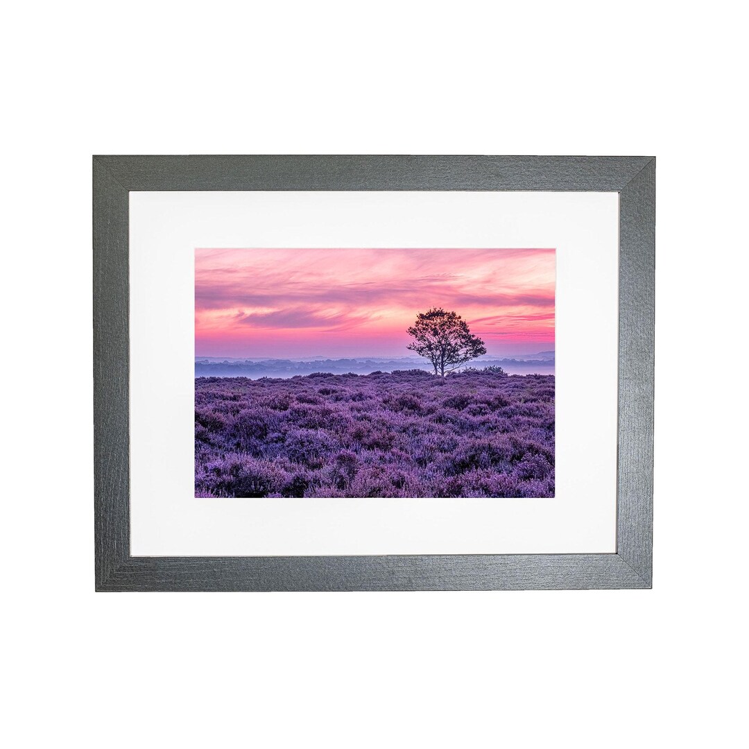 Roydon Common Nature Reserve Norfolk Landscape Framed Photo Print ...