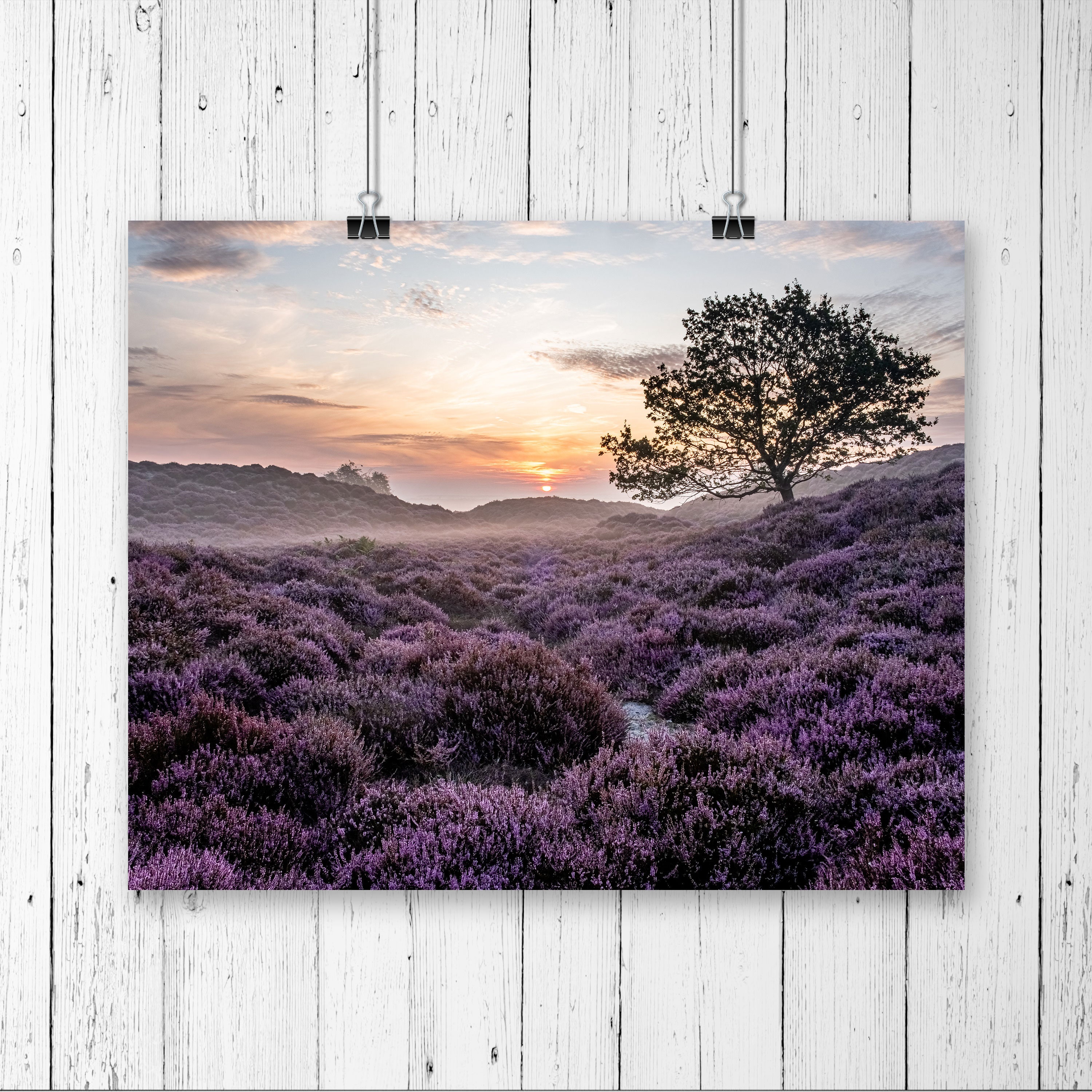 Norfolk Landscape Autumn Heather Misty Sunrise Framed Photo Roydon ...