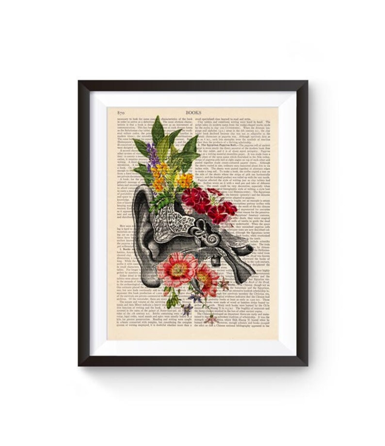 Outer Ear Anatomy Print Audiology Gift Audiology Office - Etsy