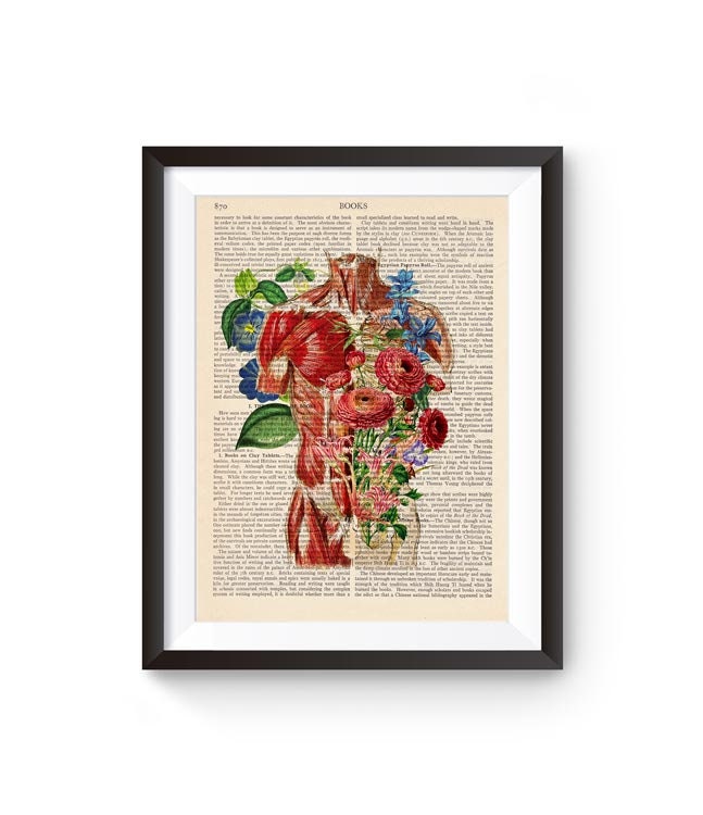 Human Anatomy Muscles Prints Set of three Orthopedic Doctor | Etsy
