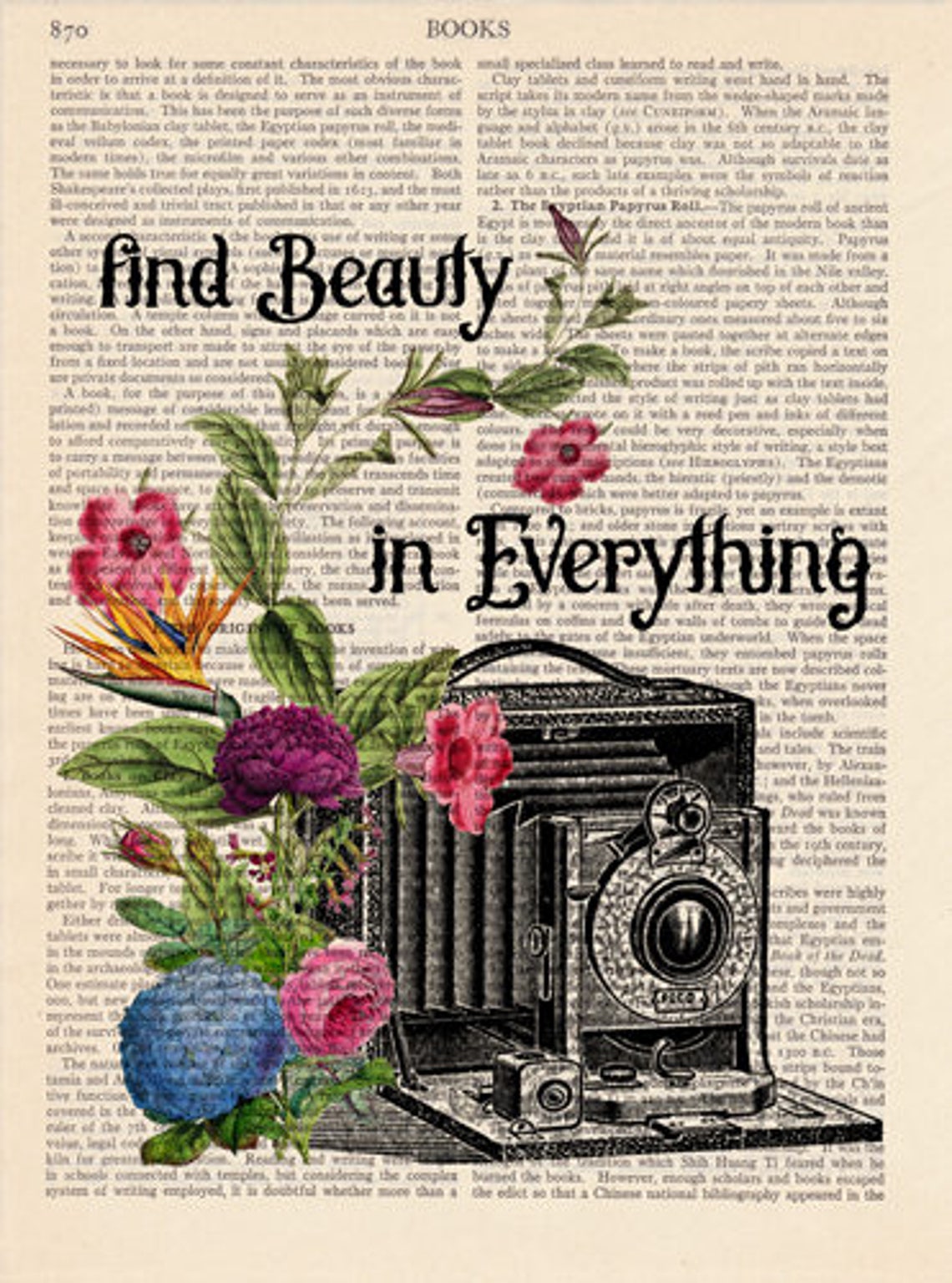 Vintage Camera Poster Vintage Illustration / Flowers Roses / - Etsy