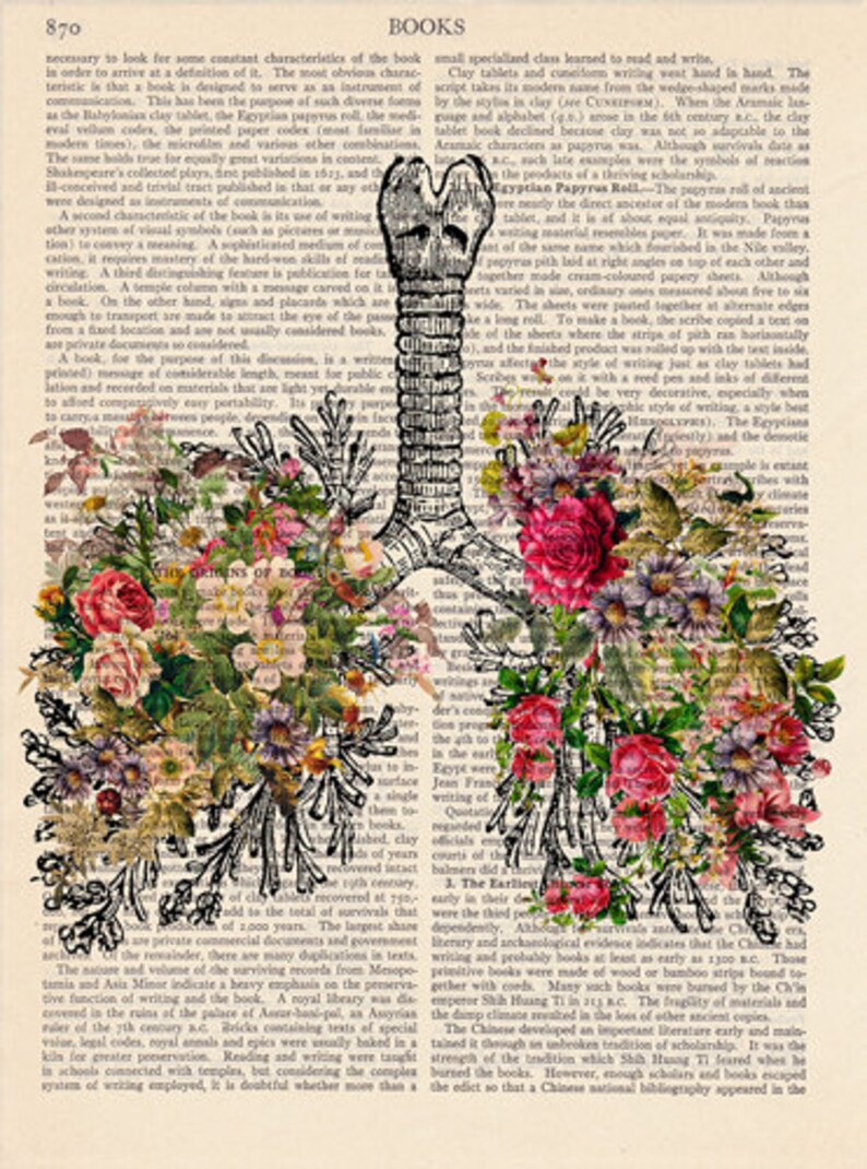 Anatomy Print Medical Poster Vintage Illustration / Lungs - Etsy