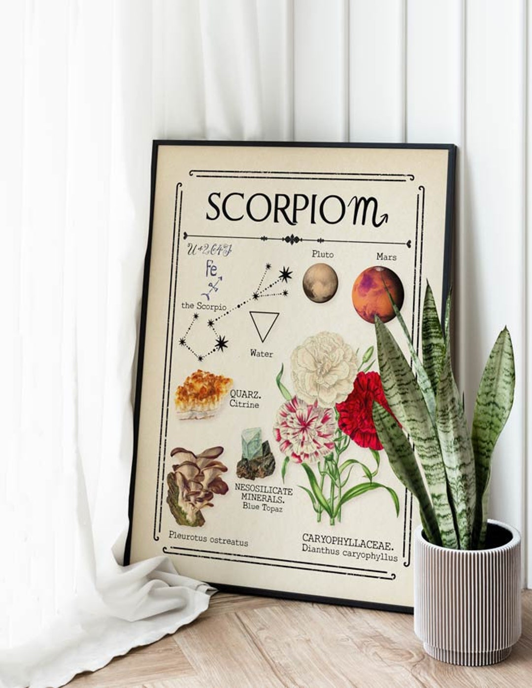 Zodiac Scorpio Print, Celestial Print, Astrology Art, Star Sign for Her ...