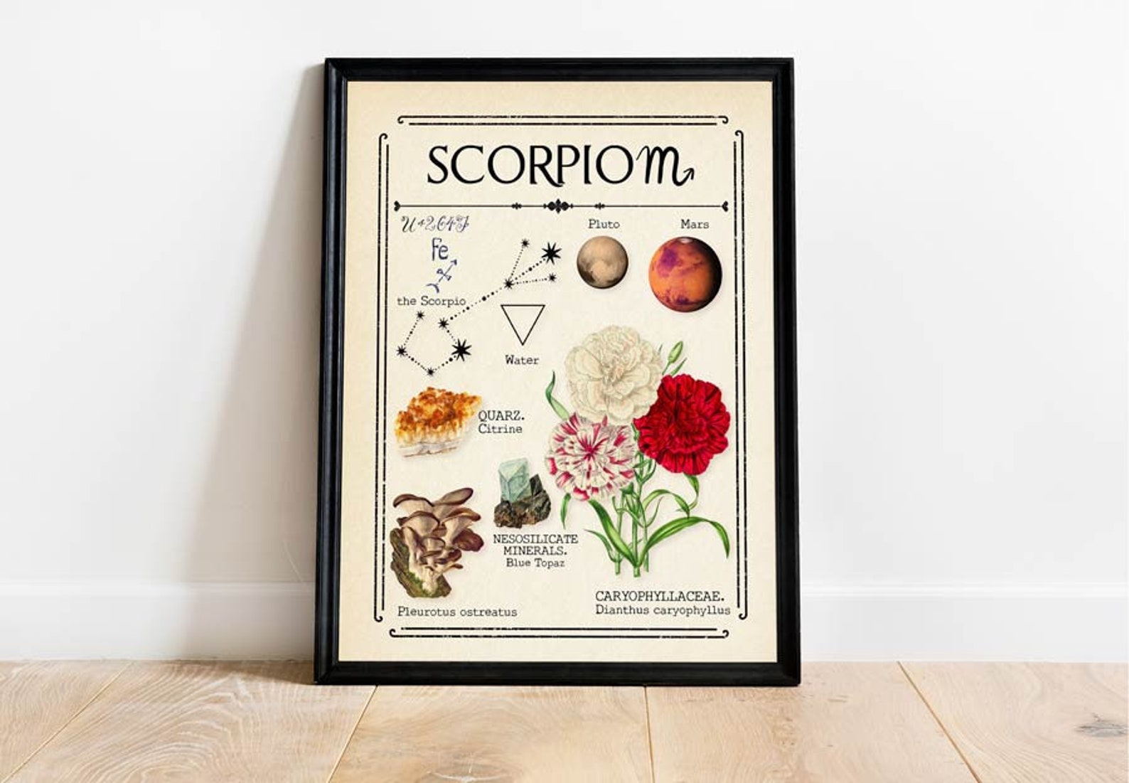 Zodiac Scorpio Print Celestial Print Astrology Art Star - Etsy