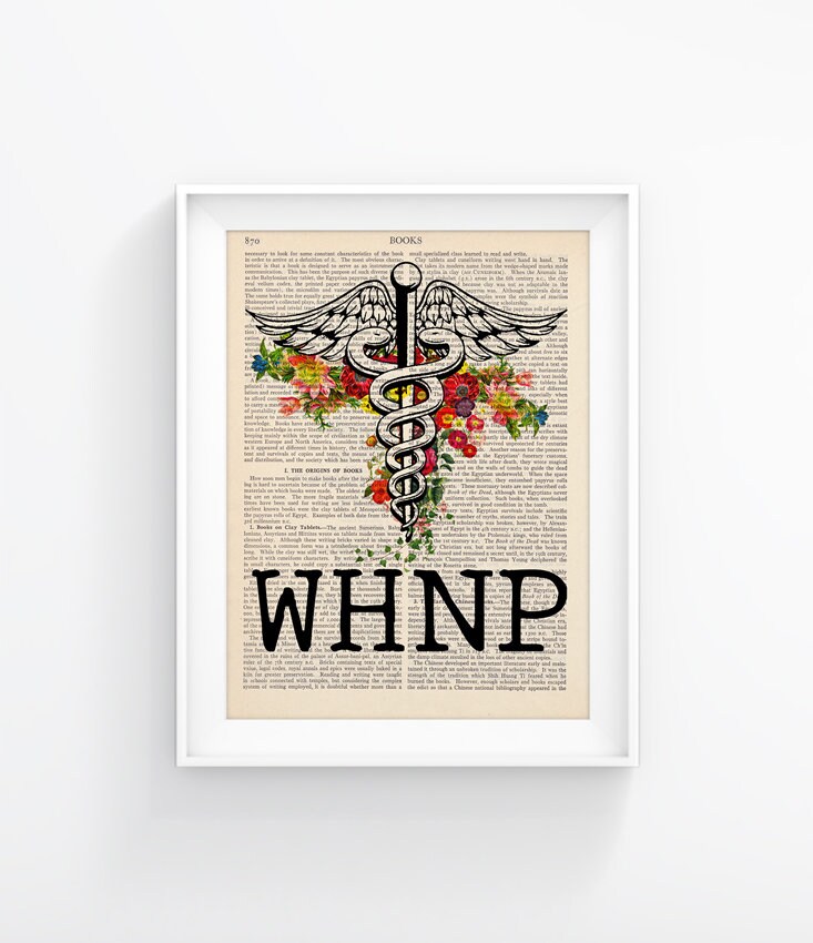 Womens Health Nurse Practitioner Print WHNP Illustration | Etsy