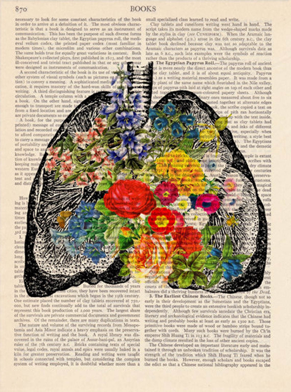 Anatomy Print Medical Poster Vintage Illustration Lungs - Etsy