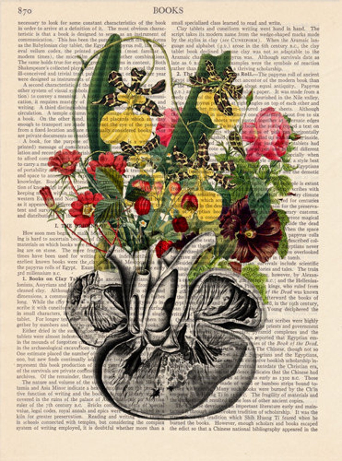 Kidney Anatomy Print Medical Poster Anatomy Vintage | Etsy