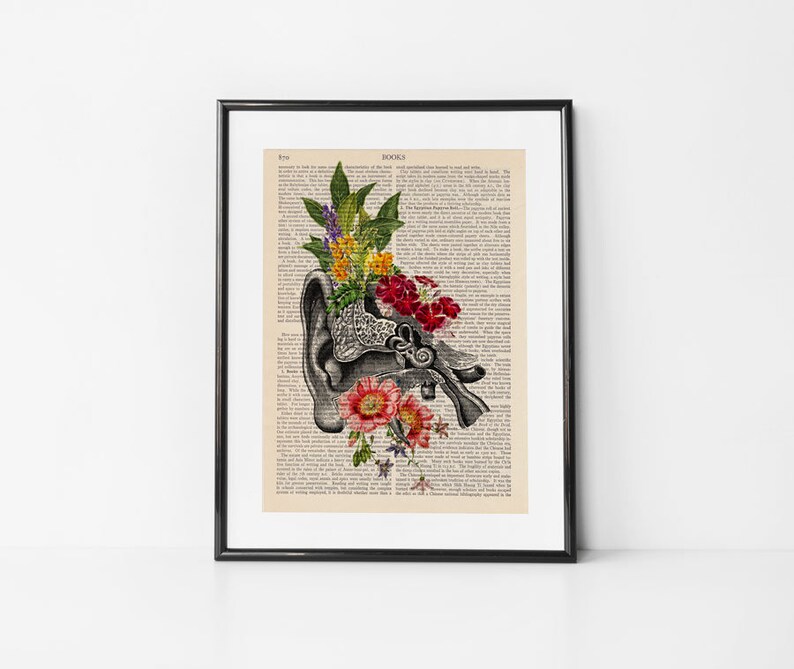 Outer Ear Anatomy Print Audiology Gift Audiology Office - Etsy