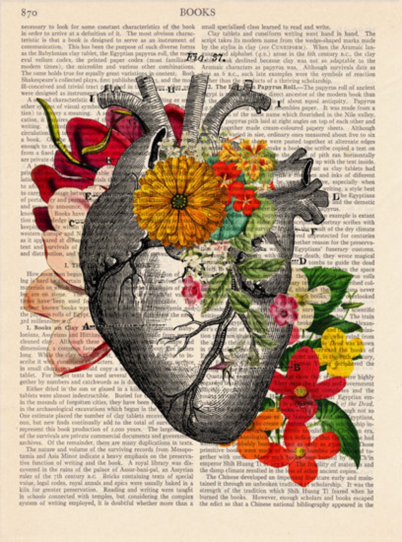 Heart Anatomy Print Cardiac nurse Anatomy Art Nurse gift | Etsy