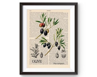 Olive Botanical Print, Olive Botanical Art Print, Olive Wall Art, Olive ...