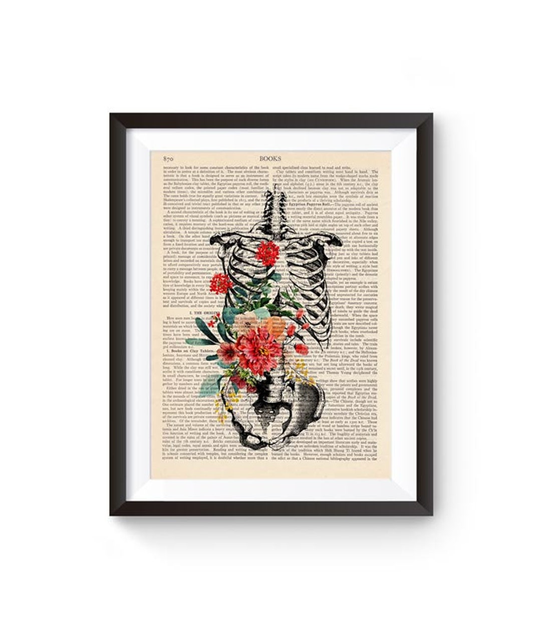 Anatomy Skeleton Print, Medical Ilustration, Orthopedics Print, Doctor ...