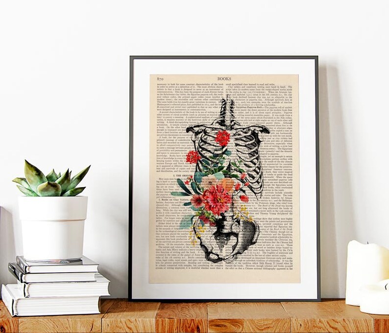 Anatomy Skeleton Print Medical Ilustration Orthopedics - Etsy