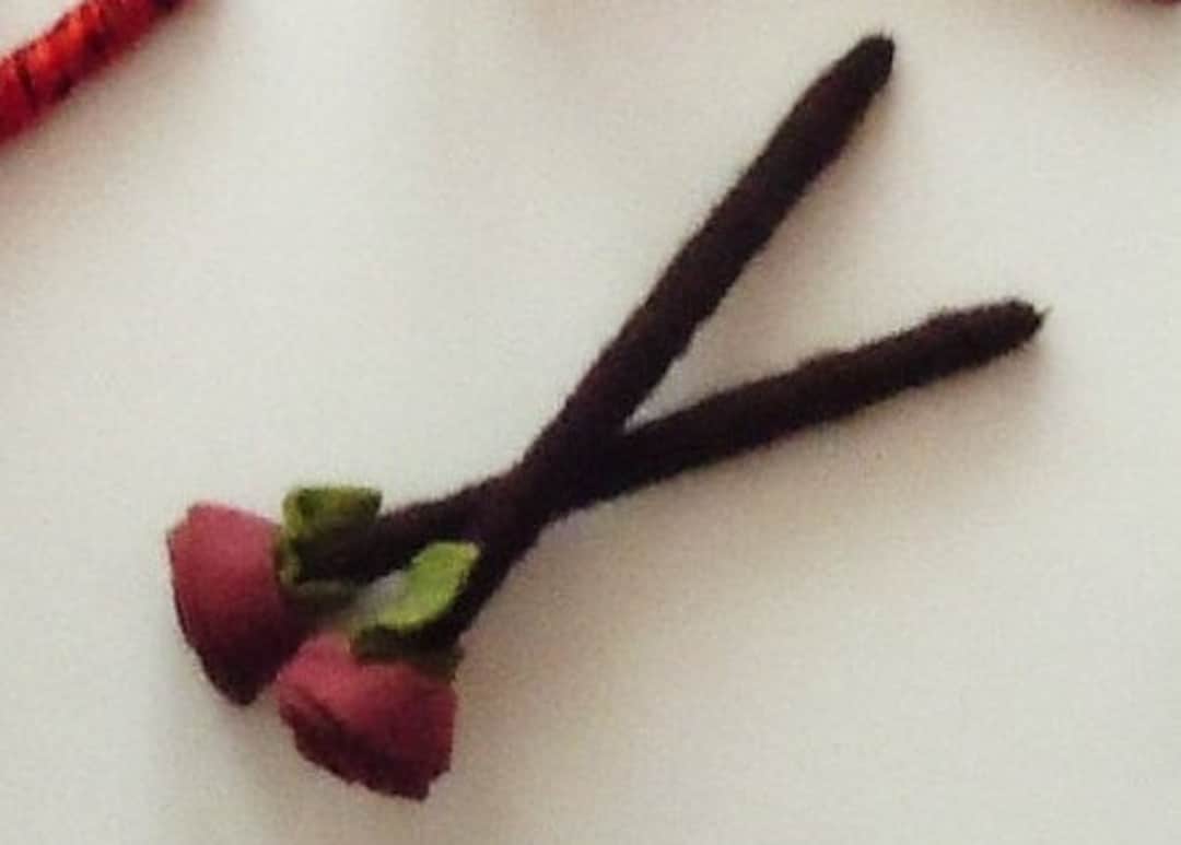 ROSEBUD PEN - Share Your Innemost Thoughts, or Just Your Signature ...