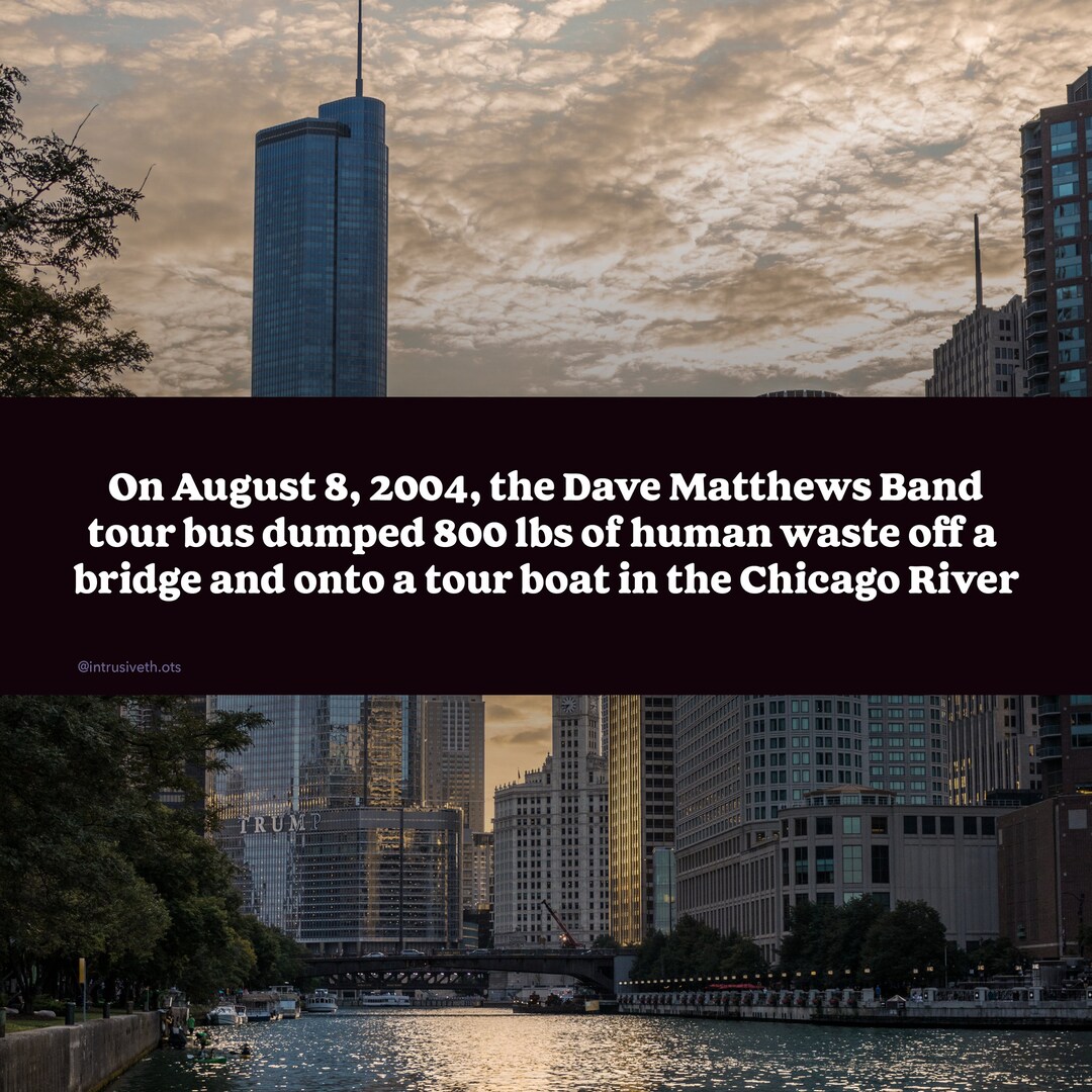 DMB Poop Incident Bumper Sticker Black - Etsy