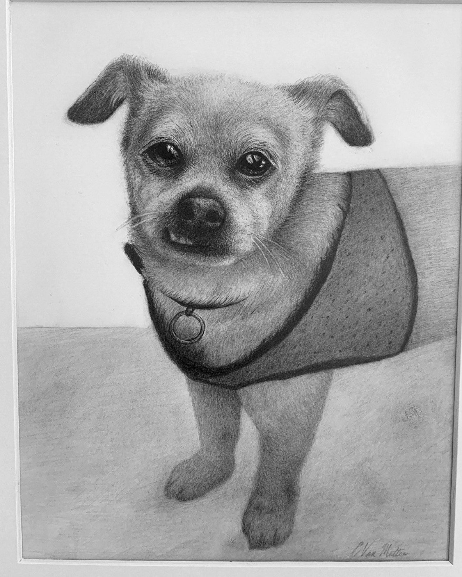 Detailed Custom Pet Portrait Drawing Special Gift for Animal Lovers ...