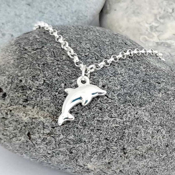 Dolphin Gifts - 60+ Gift Ideas for 2024