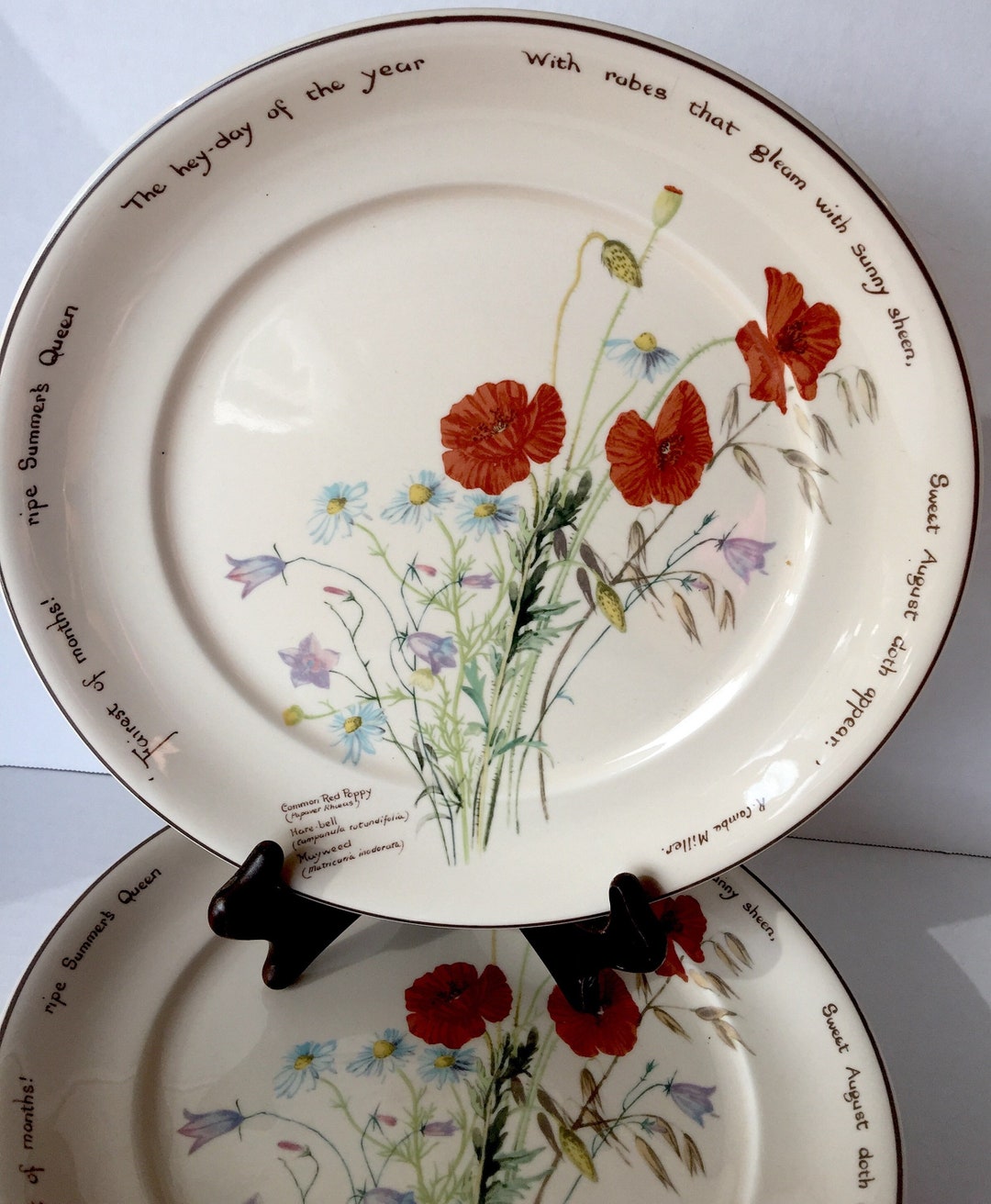 Country Diary Edwardian Lady by NORITAKE (6) DINNER PLATES - Etsy