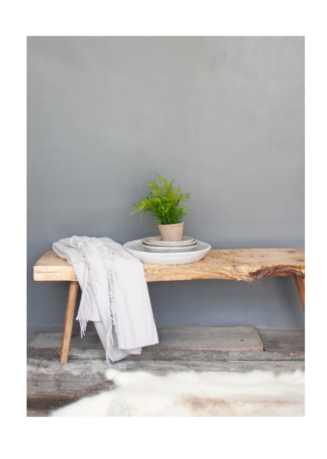 Vintage Elm Coffee Table: Rustic Farmhouse Decor (1200 X 350mm X H750mm ...