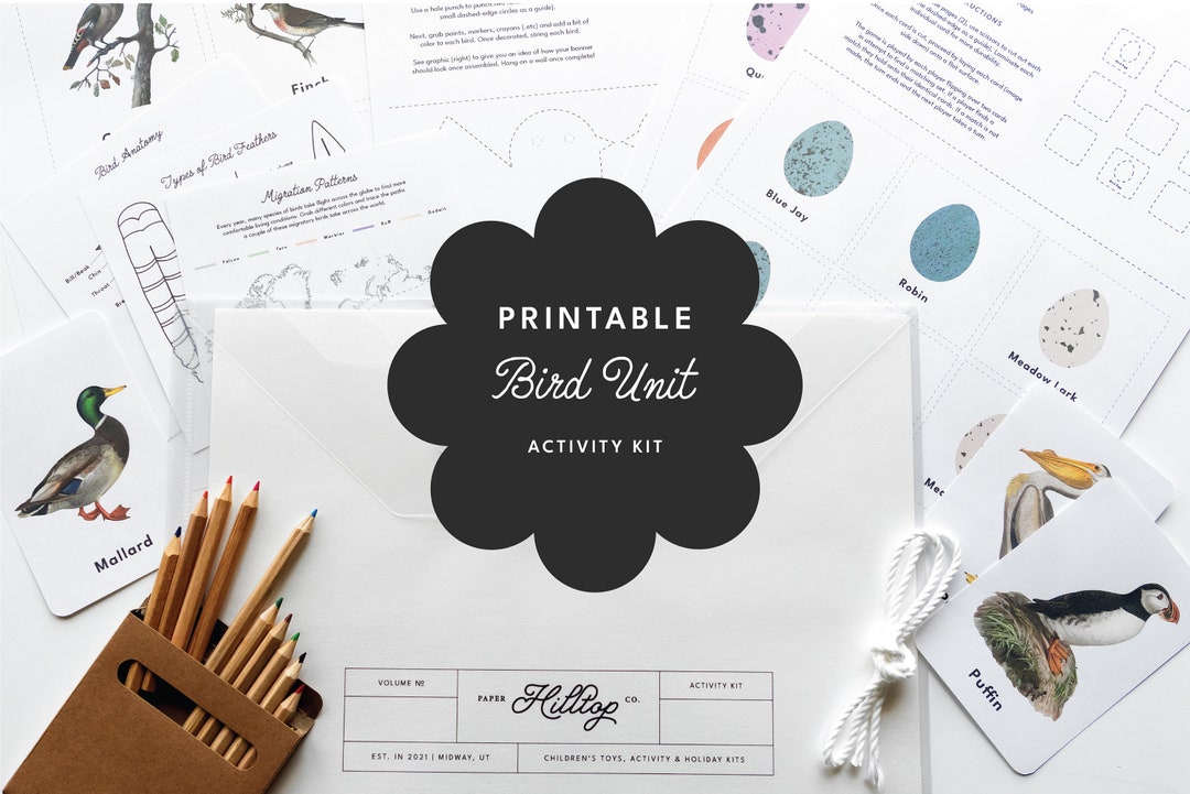 Bird Unity Study | Kids Activity Kit, Montessori, Memory Game, Bird ...