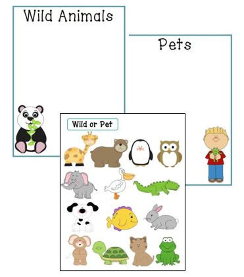 Wild Animal or Pet Sorting Game - Etsy