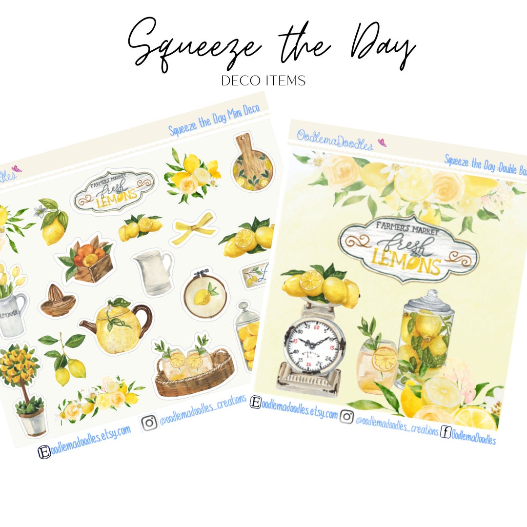 Squeeze the Day |decorative Planner Stickers, Floral, Spring, Summer ...