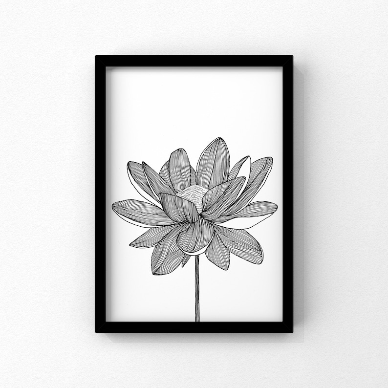 Printable Lotus Flower, Floral Drawing, Black & White Illustration ...