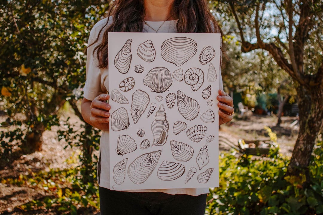 Seashells Art Print: Minimalist Shell Line Drawing - Etsy