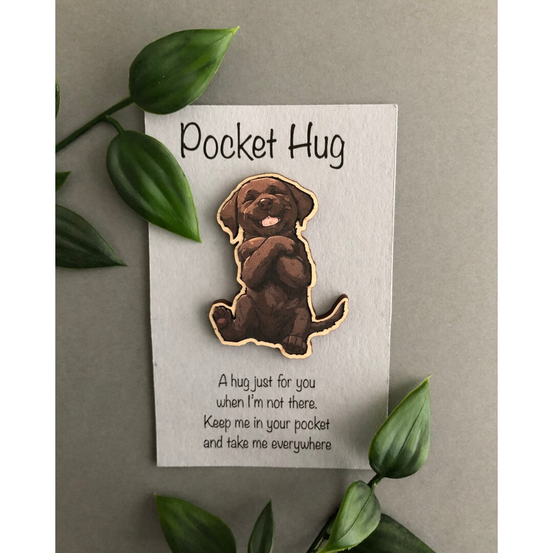 Puppy Hug, Pocket Hug, Pet Pocket Hug, Dog, Labrador Retriever, Brown ...