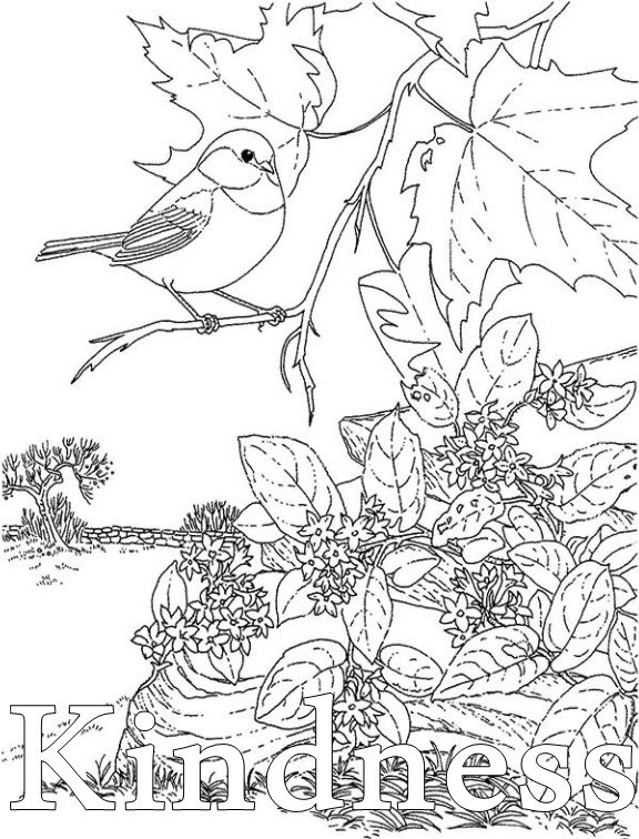 Inspirational Coloring Book - Wonderful - Digital Download - Etsy