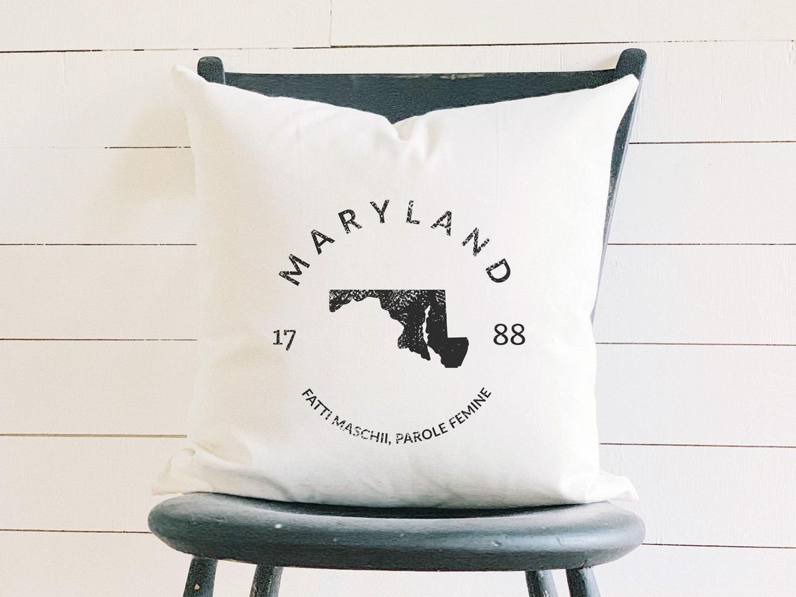 Custom State Pillows in Any State, State Pride Home Gift , New ...