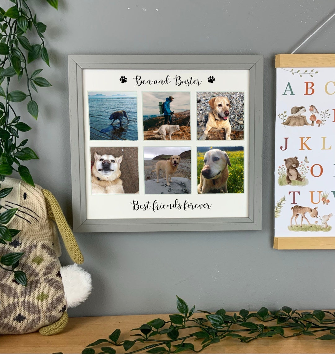 Personalised Animal Lovers Gift, Pet Memorial Picture Frame Collage ...