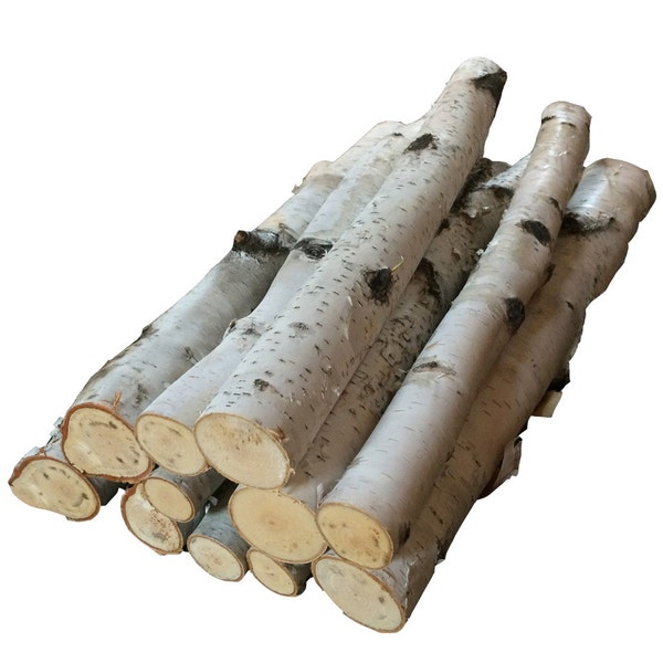 Birch Logs - Etsy
