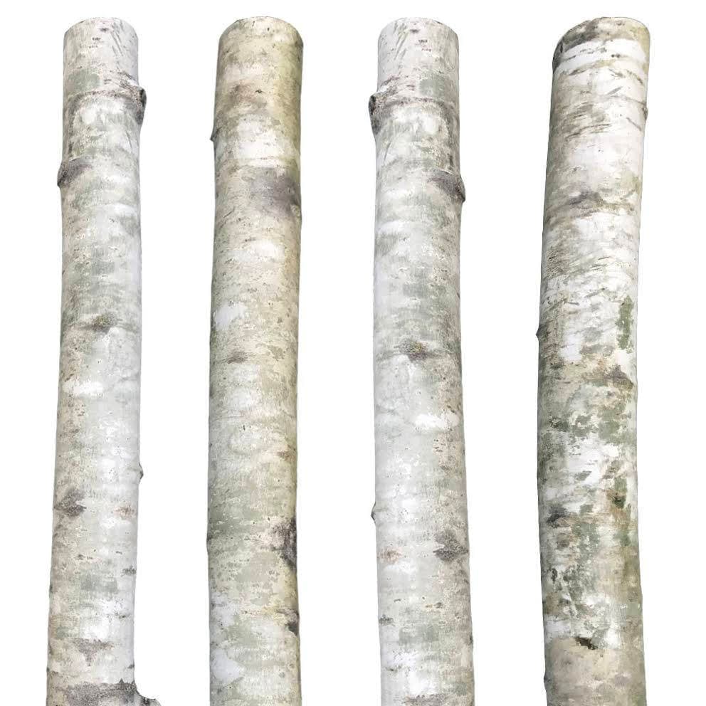 Four Decorative Silver Aspen Poles 4ft - Etsy
