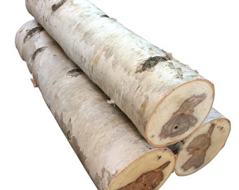 Birch Log | Etsy