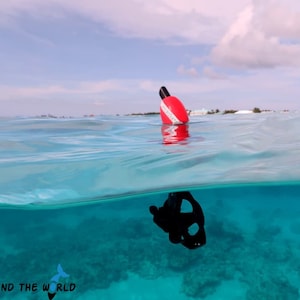 Snorkelbuoy® a Unique Snorkel Float, Never Lose Your Mask and Snorkel ...