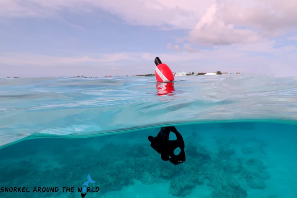 Snorkelbuoy® a Unique Snorkel Float, Never Lose Your Mask and Snorkel ...