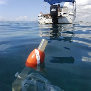 Snorkelbuoy® a Unique Snorkel Float, Never Lose Your Mask and Snorkel ...
