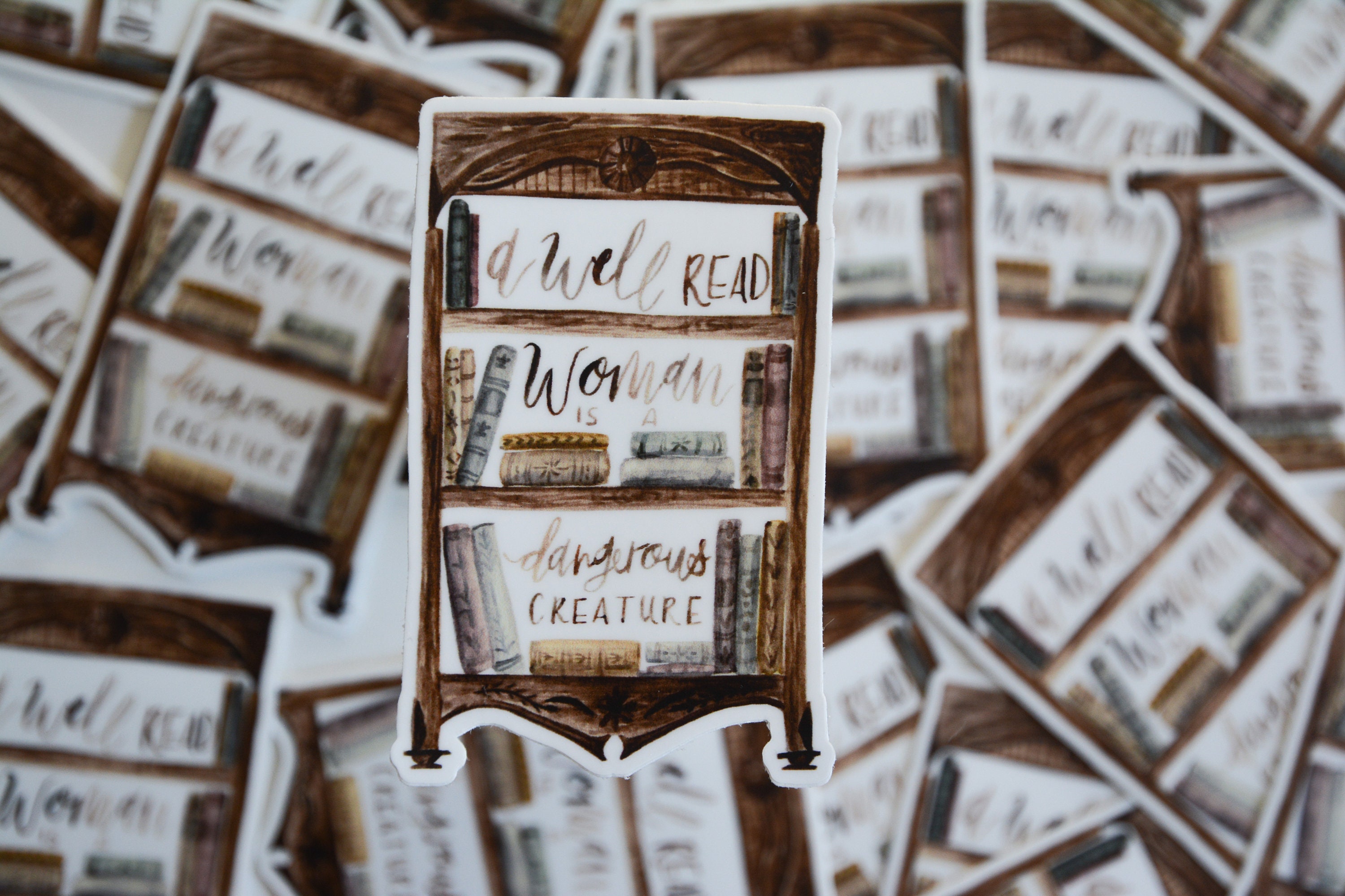 Book Shelf Sticker A Well Read Woman Vinyl Die Cut | Etsy