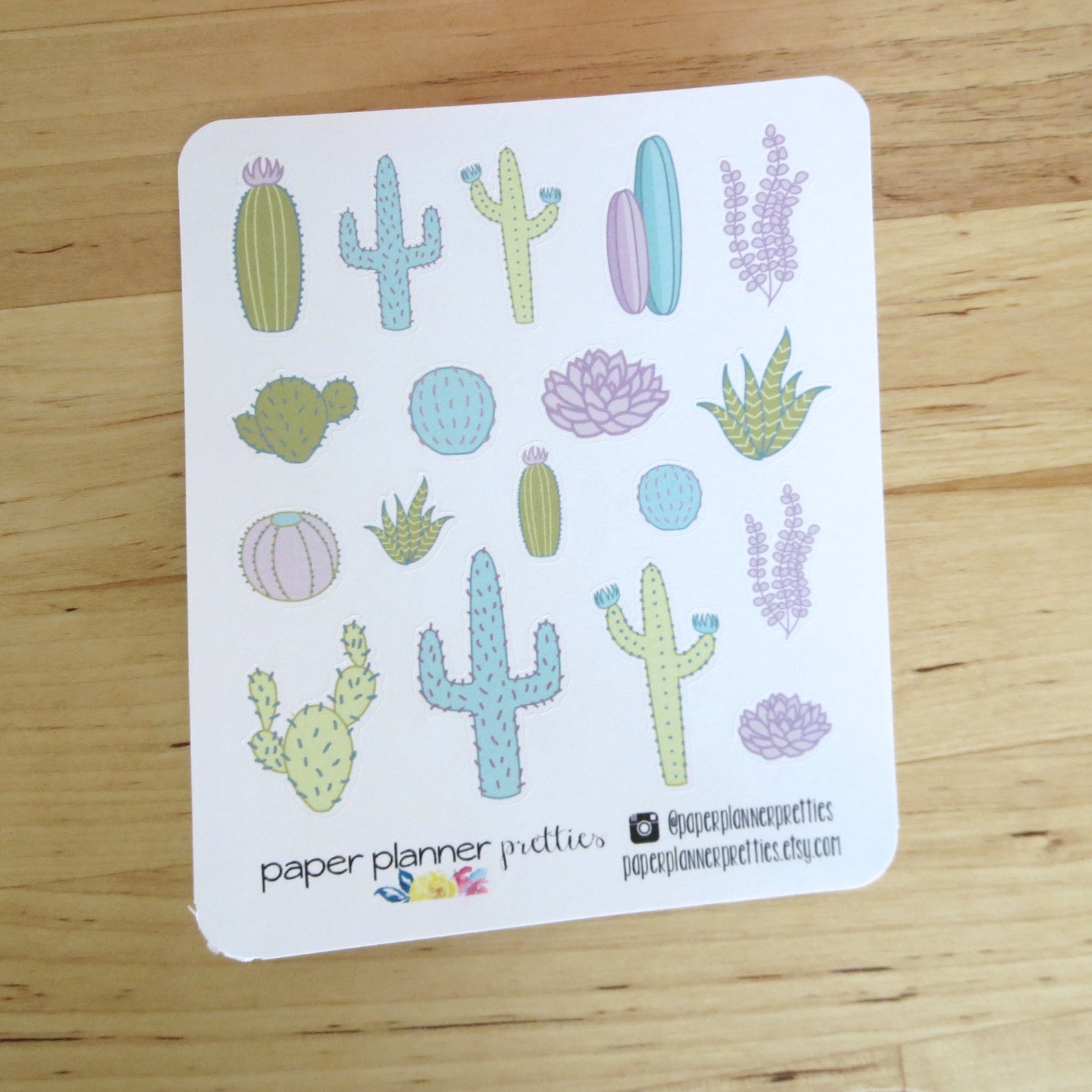 Succulent Cactus Cacti Plant Planner Stickers Hand Drawn | Etsy