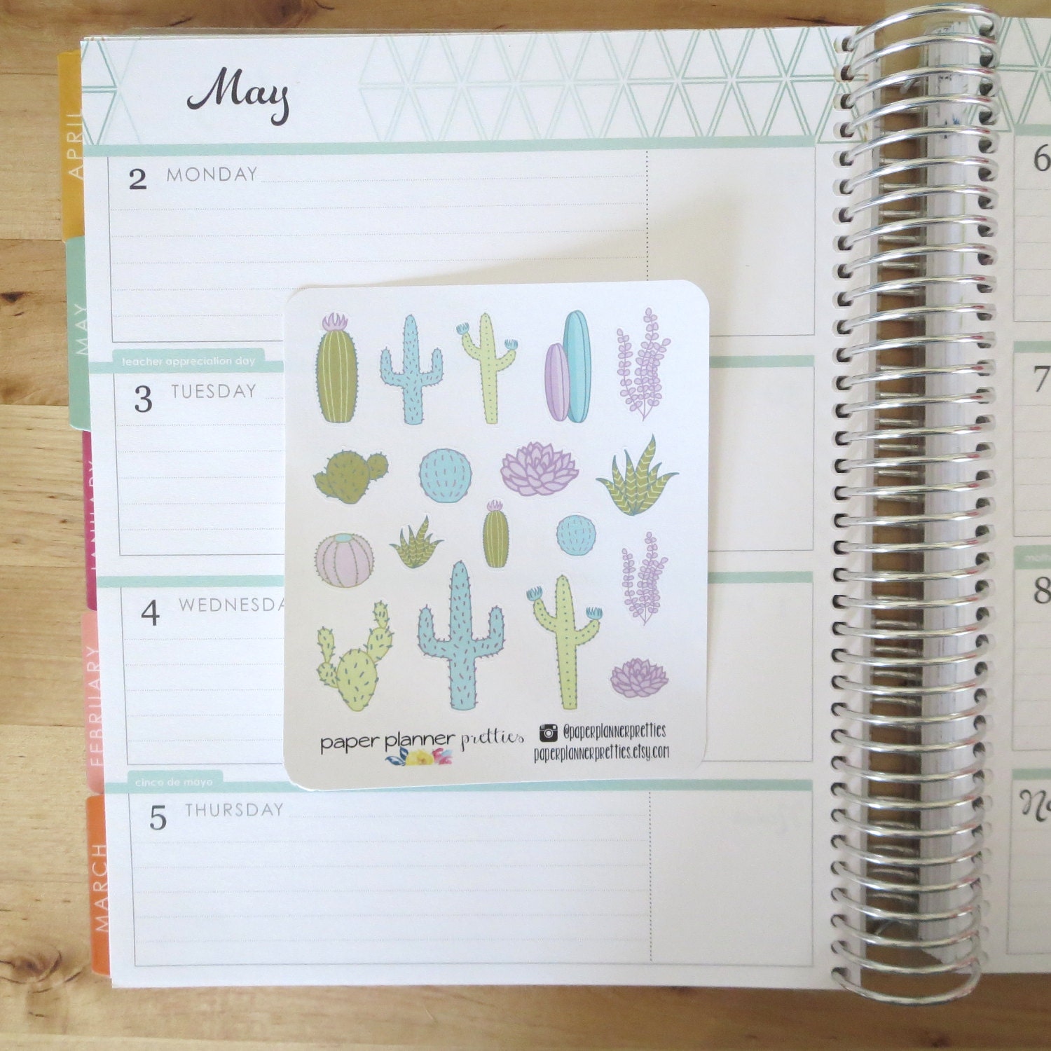 Succulent Cactus Cacti Plant Planner Stickers Hand Drawn | Etsy