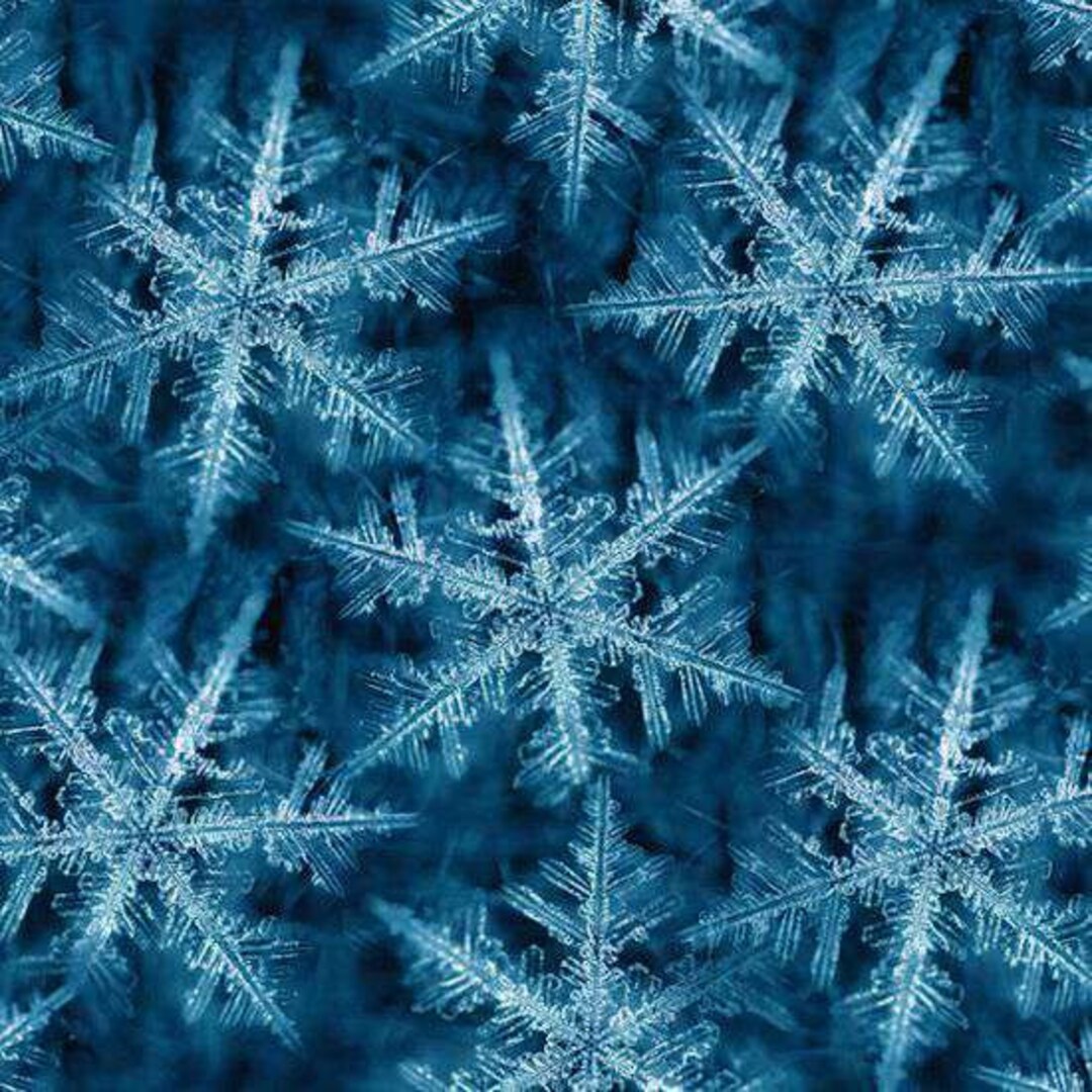 Christmas Fabric, Snowflake Fabric, Spectrum Print, Snowfall, Blue ...