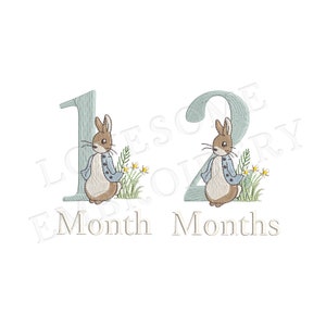 Milestones Peter Rabbit 4inch Embroidery Numbers Digital Download ...