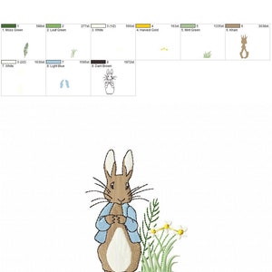 Peter Rabbit With Florals 4inch Machine Embroidery Design Digital ...