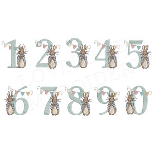 Numbers Bunting Peter Rabbit 4inch 0-9 Machine Embroidery Numbers ...